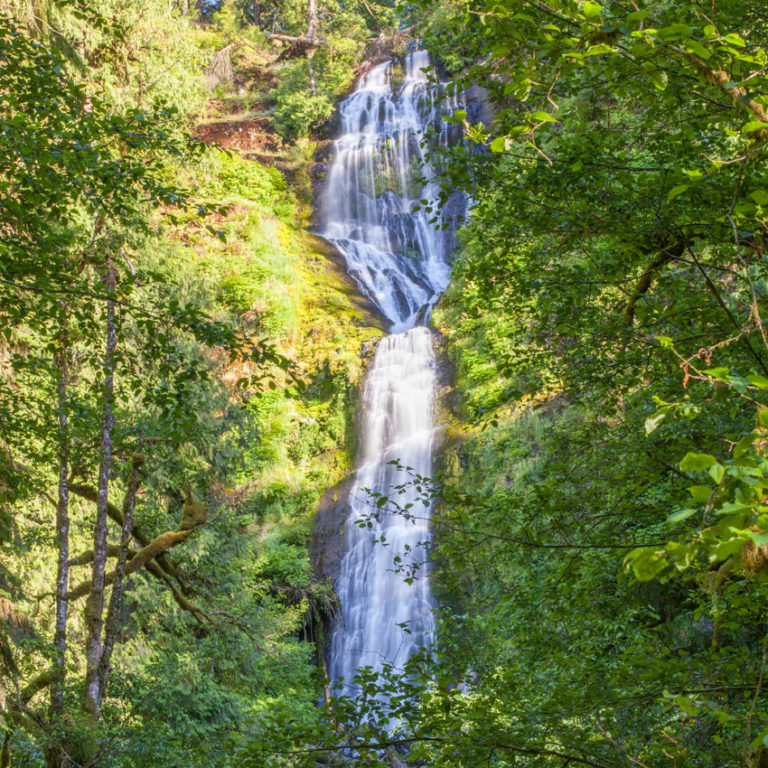 5 Waterfall and Wildflower Hikes - Travel Oregon