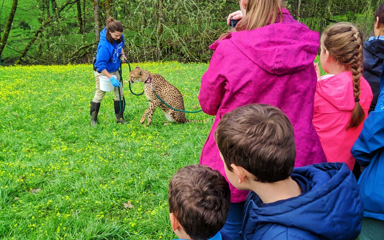 Oregon Family Fun for All - Travel Oregon