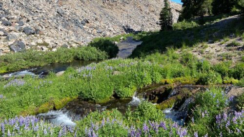 Rejuvenating Spring Events in Oregon - Travel Oregon