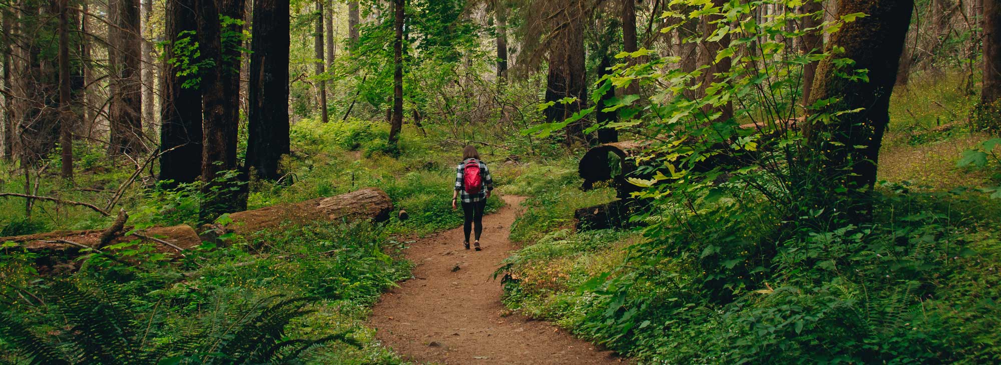Staying Safe During Spring Break Travel in Oregon