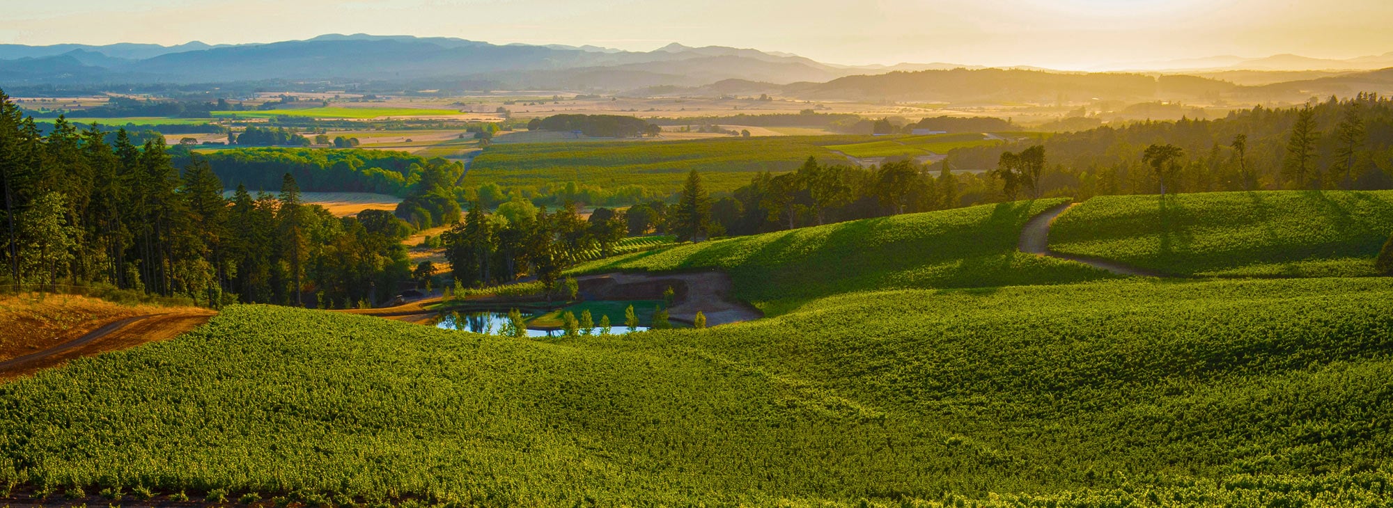 Vineyard Hikes, History and Community at Eola Hills Winery - Travel Oregon
