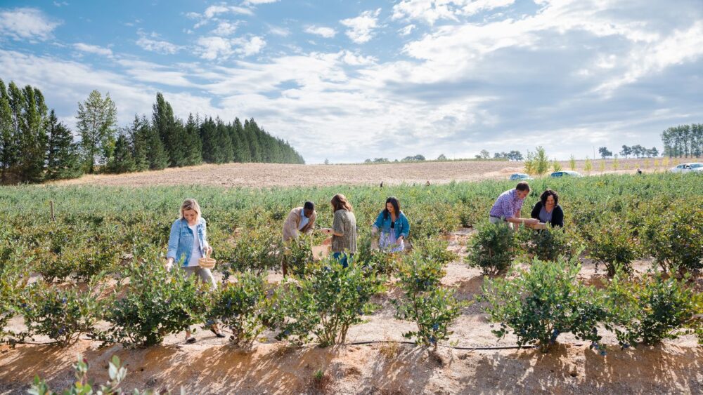 Get a Taste of Oregon Food Trails - Travel Oregon