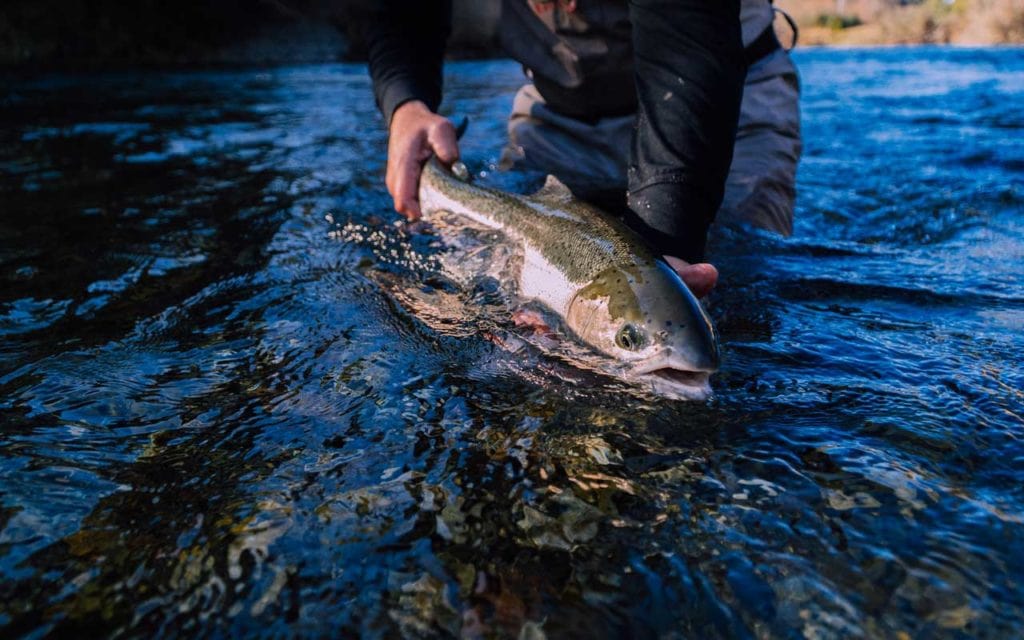 Casting for Steelhead at the Southern Oregon Coast - Travel Oregon