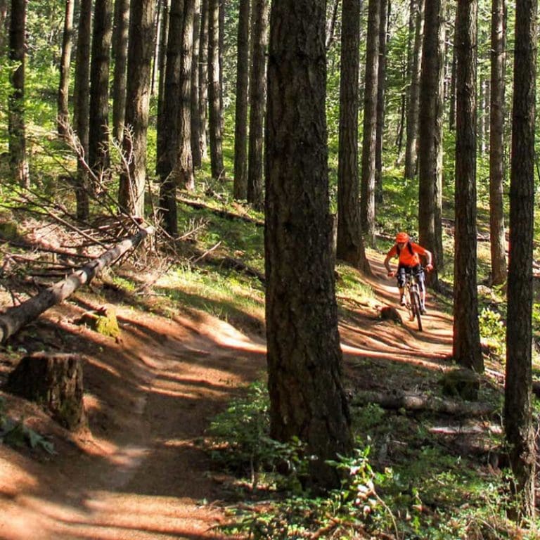 Mt. Hood is Your Next Mountain Bike Destination - Travel Oregon