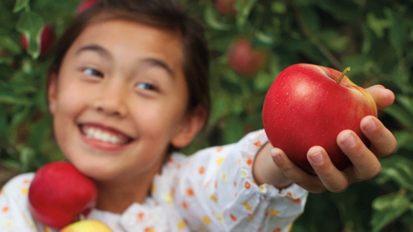 10 Top Escapes to Mt. Hood and the Gorge - Travel Oregon