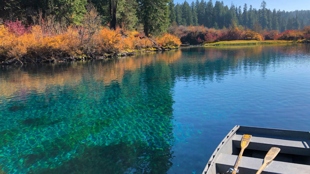 10 Delightful Spots in the Willamette Valley - Travel Oregon