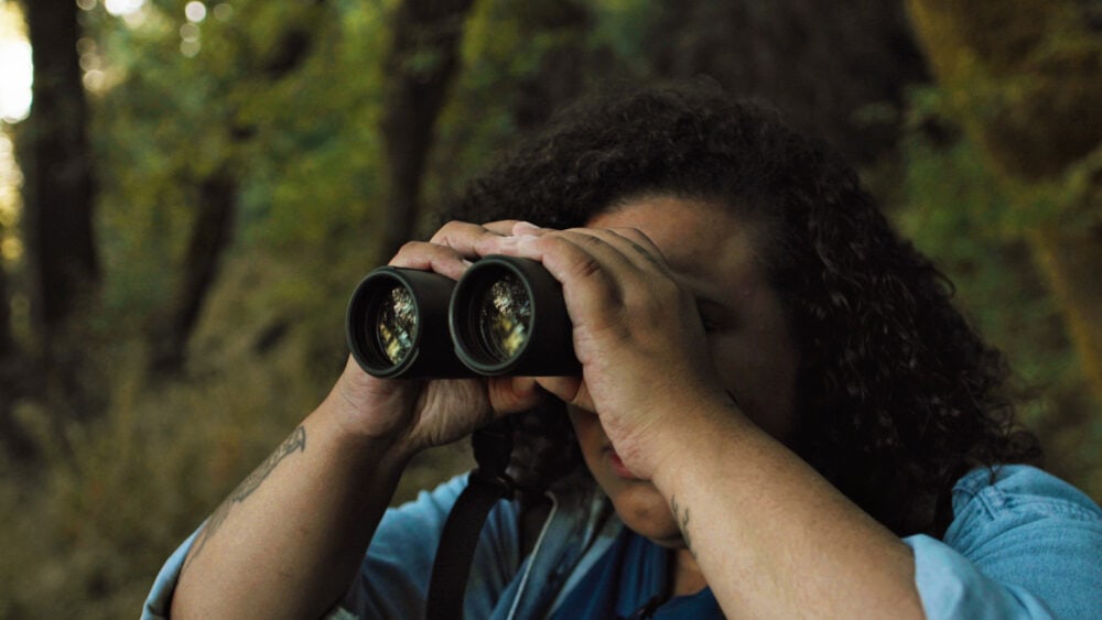 Oregon Birding for Beginners - Travel Oregon