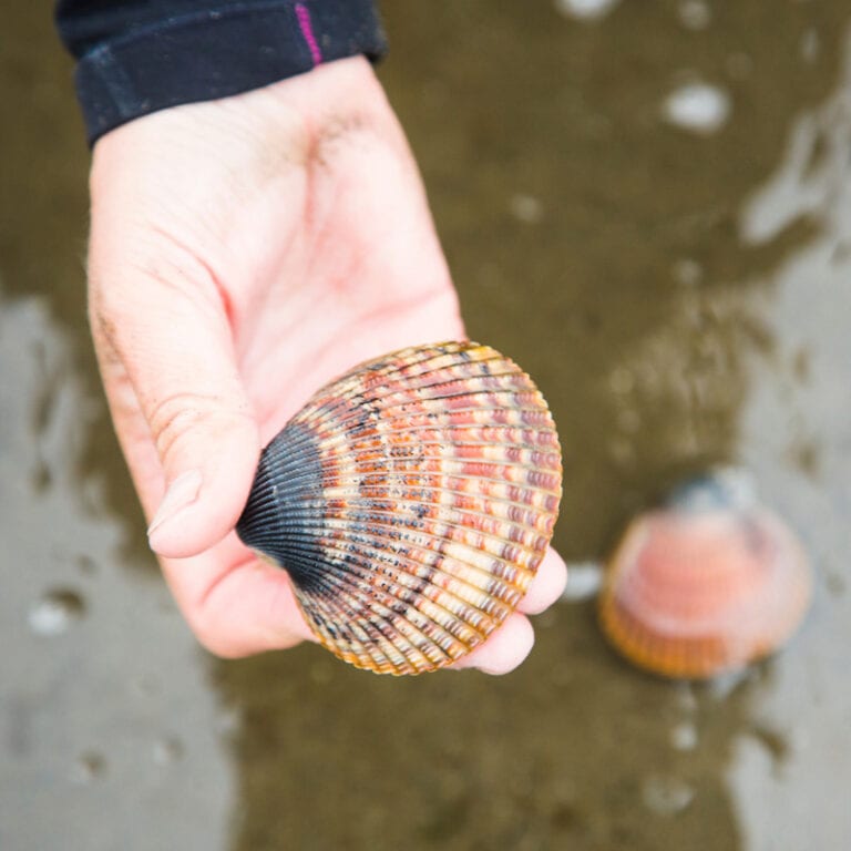 Wild Harvesting Oregon’s Fresh Seafood - Travel Oregon