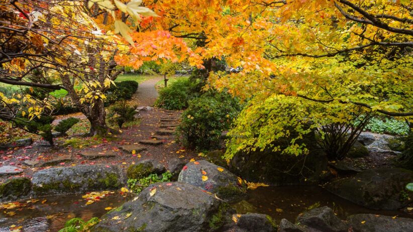 Guide to Fall Foliage in Oregon - Travel Oregon