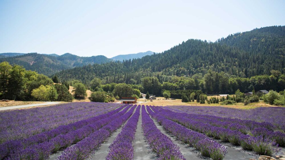 Rogue Valley Food Trail - Travel Oregon