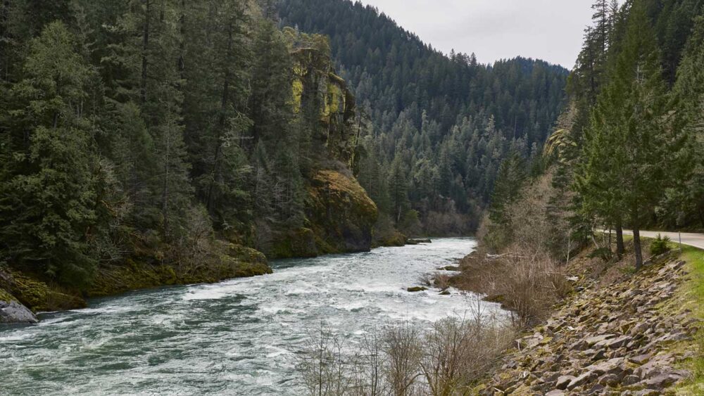 Give Back to Oregon's Wildfire-Impacted Communities - Travel Oregon