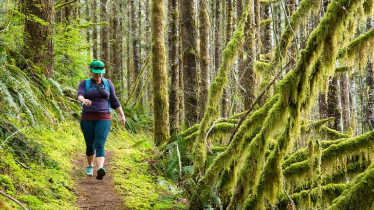 Forest Trails After Fire: A Hiker’s Guide to Seeing the Beauty in Burns ...