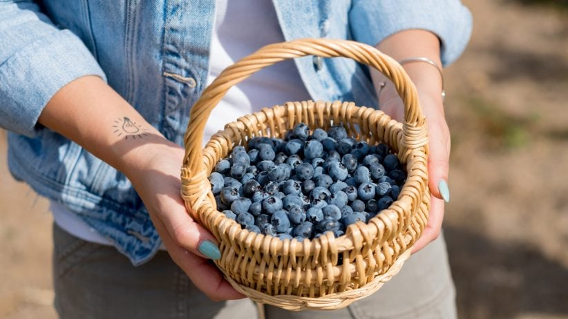 From Oregon Farms to Your Kitchen - Travel Oregon