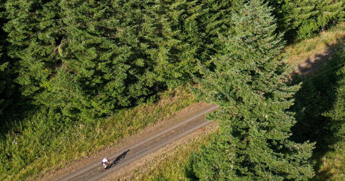 Hike or Ride the Crown Zellerbach Trail - Travel Oregon