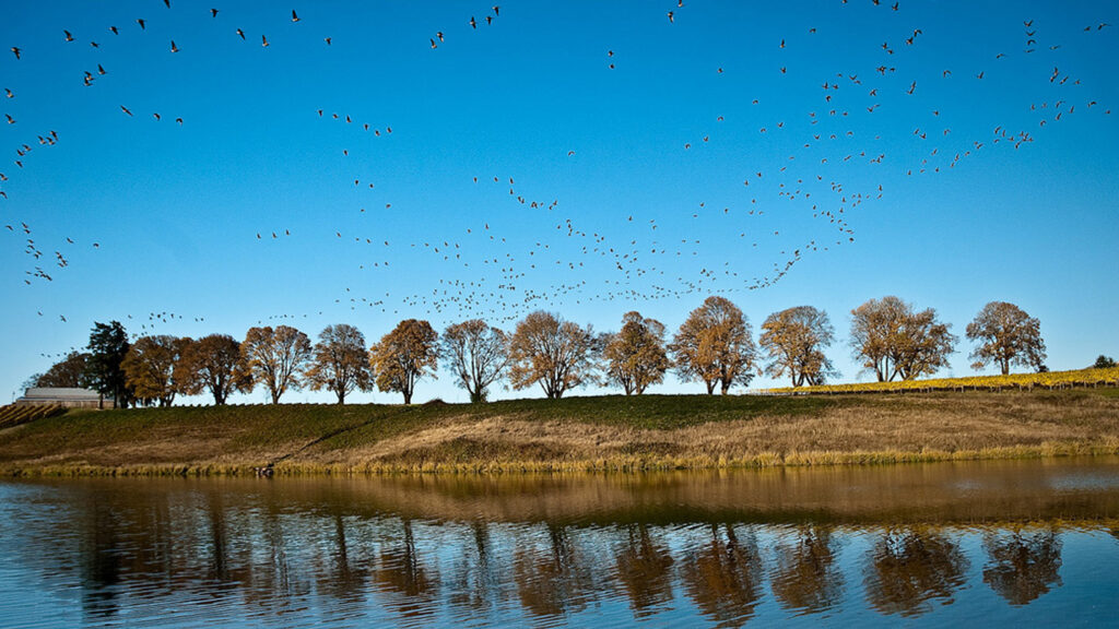Nature Escapes in the Tualatin Valley - Travel Oregon