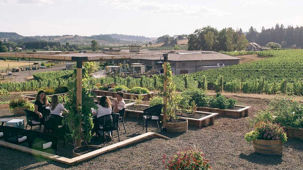 Unique Wine-Tasting Experiences in Oregon - Travel Oregon