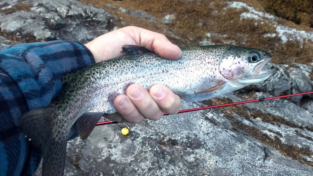 The Restorative Power of Fishing in Oregon - Travel Oregon