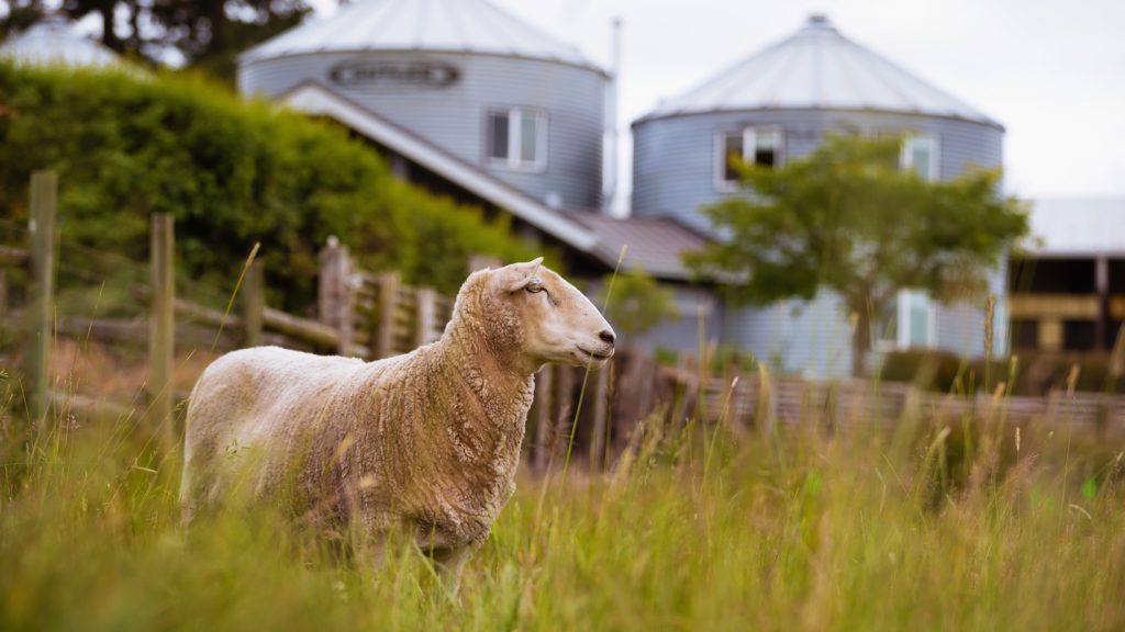 Celebrate the Power of Travel in Oregon - Travel Oregon