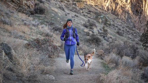 Beginner’s Guide to Hiking With Dogs in Oregon - Travel Oregon