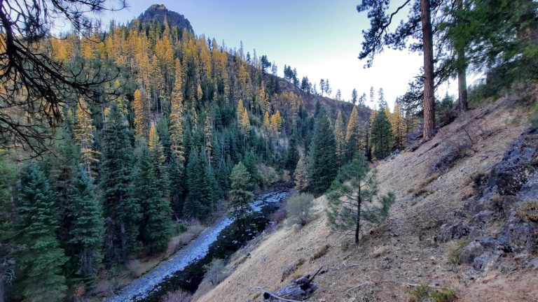 Explore Eastern Oregon’s Blue Mountains Trail - Travel Oregon