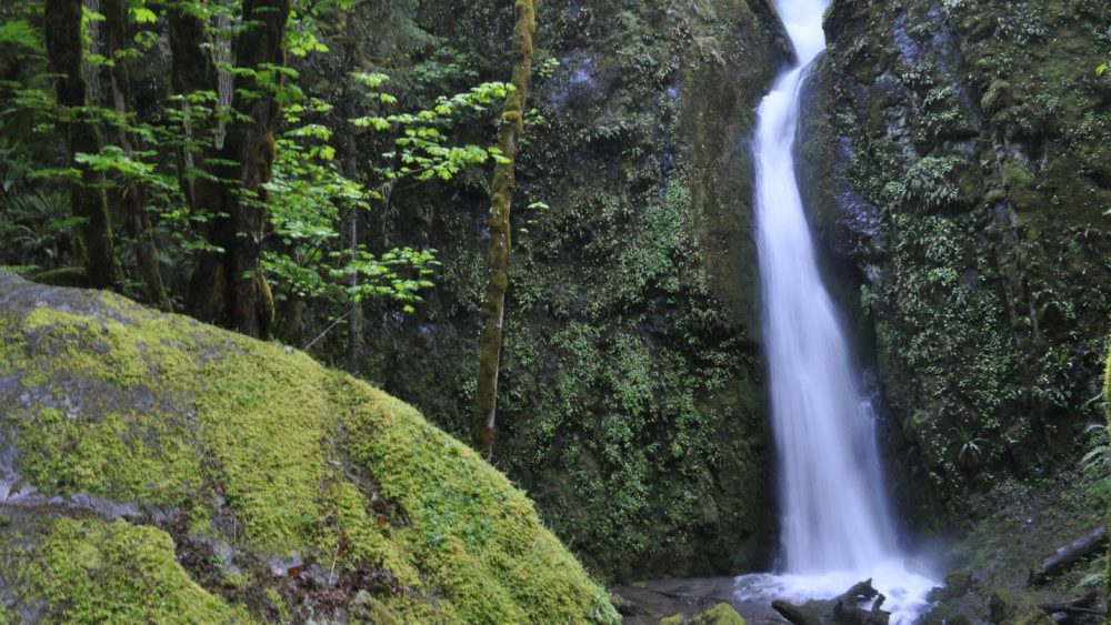 6 Stunning Oregon State Parks Without the Crowds - Travel Oregon