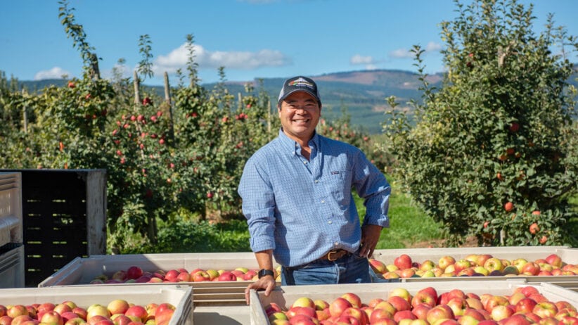 Guide to Oregon’s Juicy Autumn Apples - Travel Oregon