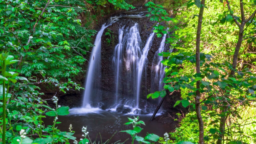 Explore Happy Valley's Food Scene and Nature Trails - Travel Oregon