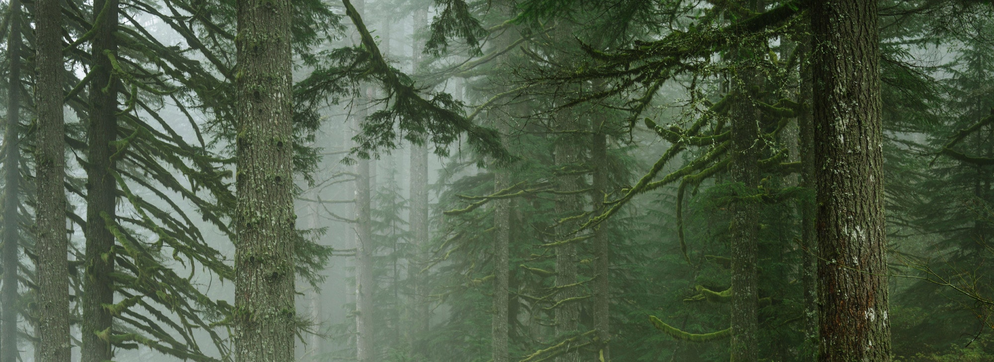 Oregon’s Spooky Spots - Travel Oregon