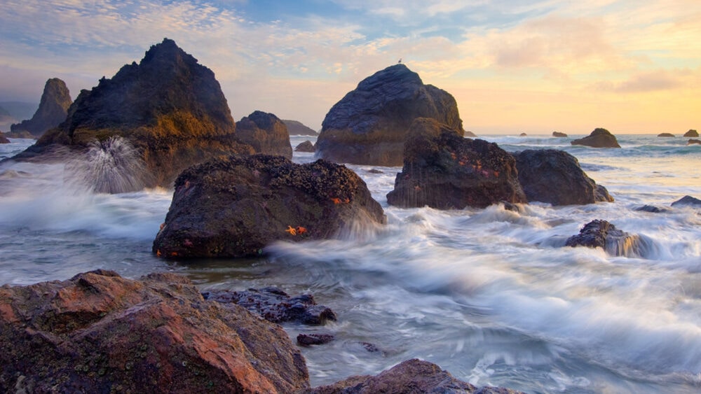 Oregon Tribal Spotlight: Coquille Indian Tribe - Travel Oregon