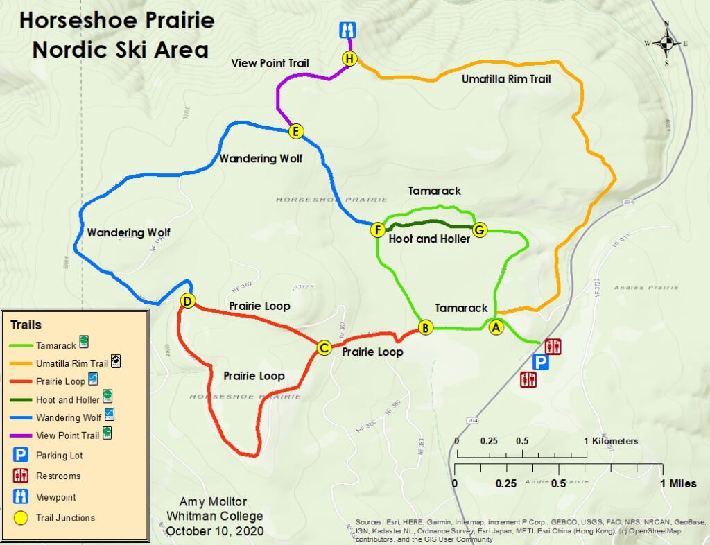 Finding Therapy in the Snowy Blue Mountains - Travel Oregon