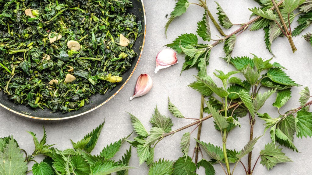 Beginner's Guide to Foraging Spring Greens on the Oregon Coast - Travel ...