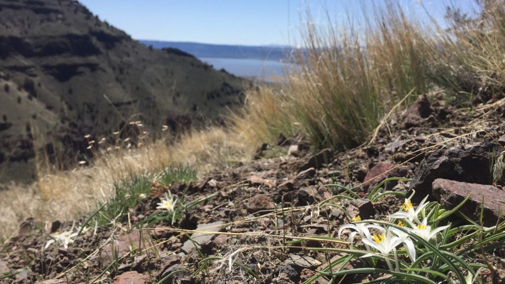 Find Rejuvenation in Oregon's High Desert - Travel Oregon