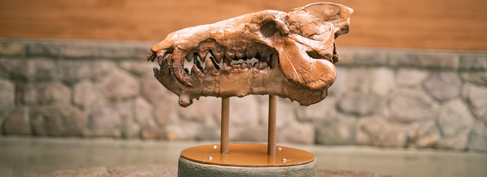 Dig Into Oregon’s Ancient Geology - Travel Oregon