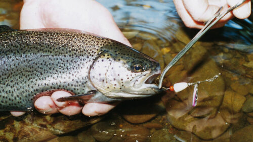 First-Timer’s Guide to Fishing in Oregon - Travel Oregon