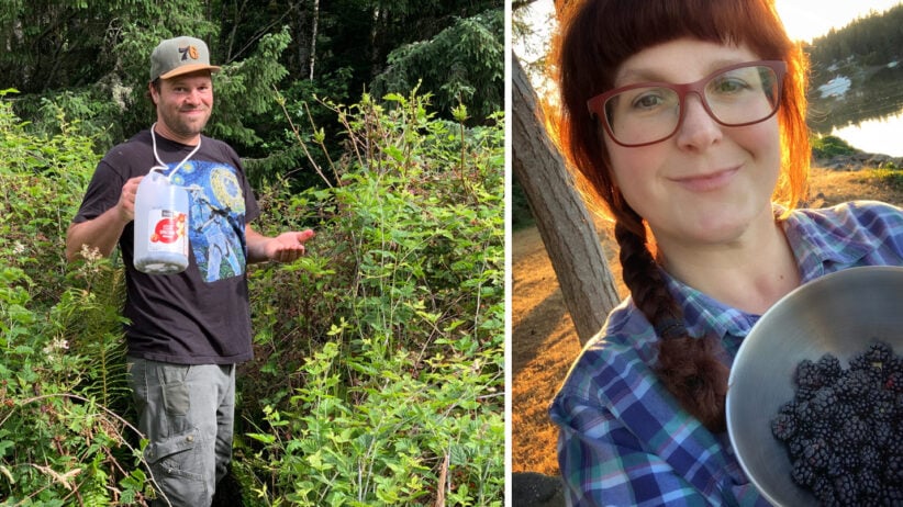 Guide to Foraging Wild Berries in Oregon - Travel Oregon