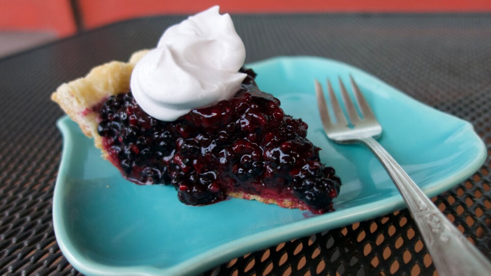 Guide to Foraging Wild Berries in Oregon - Travel Oregon