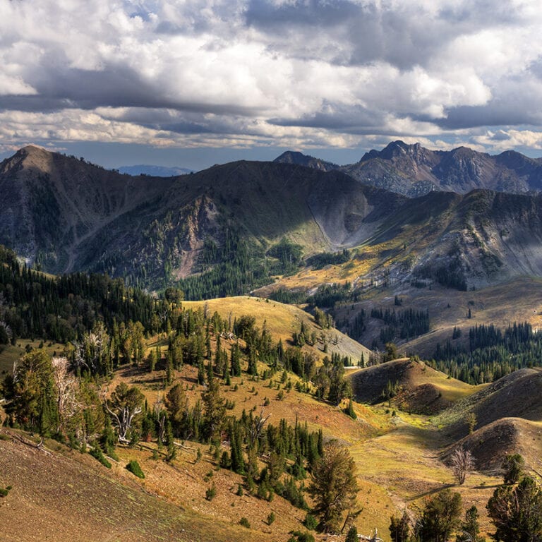 Larch Forest Hikes in Eastern Oregon - Travel Oregon