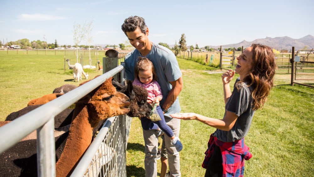 Food Lover's Guide to the Ranches of Central Oregon - Travel Oregon