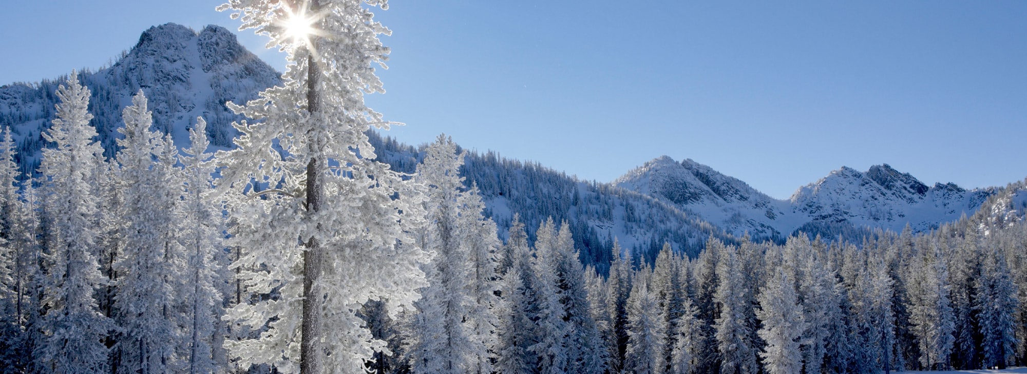 Guide to Winter Photography in Eastern Oregon - Travel Oregon