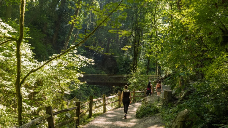 Forest Park for Everyone - Travel Oregon
