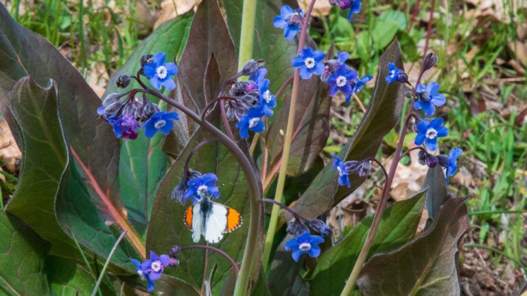 6 Spring Hikes in the Applegate Valley - Travel Oregon