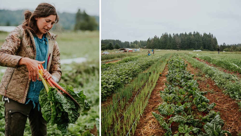 Experience Oregon’s Bounty with Diverse Farms - Travel Oregon