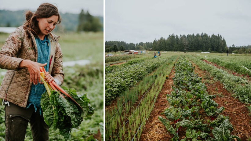 Experience Oregon’s Bounty with Diverse Farms - Travel Oregon