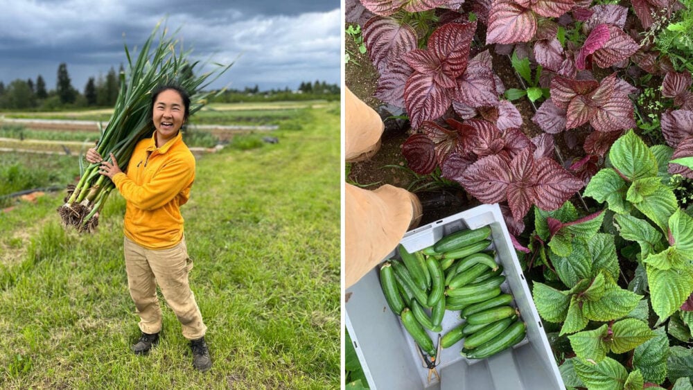 Experience Oregon’s Bounty with Diverse Farms - Travel Oregon