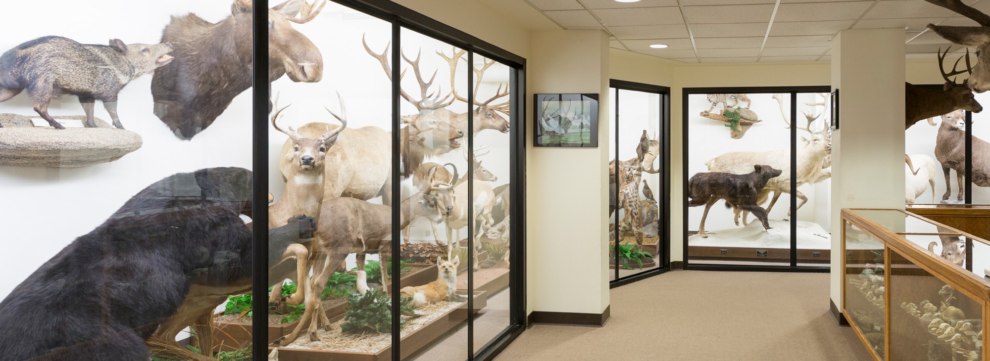 3 Marvelous Museums to Visit in the Mid-Willamette Valley - Travel Oregon