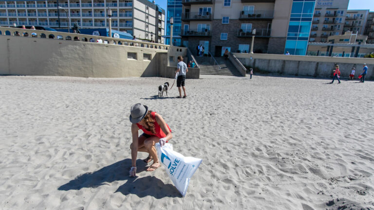 How to Find Whole Sand Dollars in Seaside - Travel Oregon