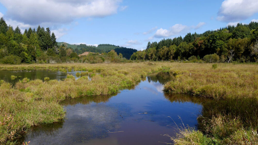 Where to Hike and Grab a Bite in Tualatin Valley - Travel Oregon