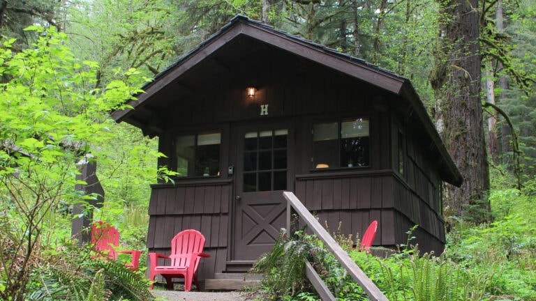 What’s New at Silver Falls State Park - Travel Oregon