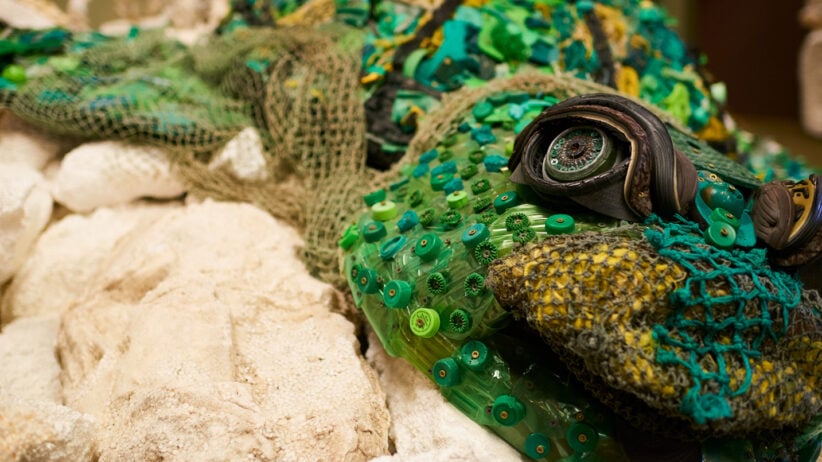 10 Awesome Activities for Teens and Tweens on the Southern Oregon Coast ...