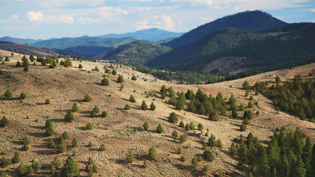 Off-the-Beaten-Path Road Trips on Oregon’s State Scenic Corridors ...